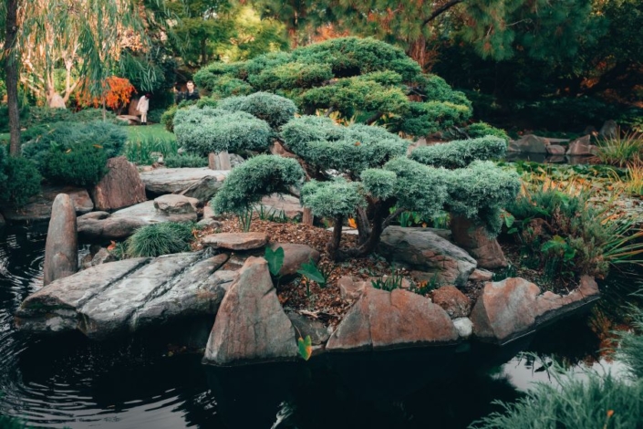 Types Of Landscaping Rocks And How To Use Them | Festival Turf